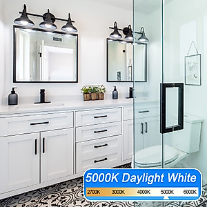 Marxlait 4 Pack LED Light Bulbs 40 watt Equivalent, Daylight 5000K, A19 Standard Light Bulbs, E26 Medium Base, Non-Dimmable