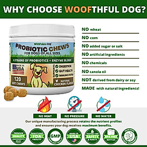 Probiotics for Dogs - Digestive Health, Gut Flora, Bowel Support, Immune System Support - Soft Chews Supplement for Dogs 120 ct, Made in USA