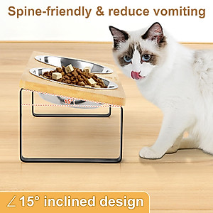 Sunhoo Cat Food Bowl Raised Cats Bowls Elevated Tilted Puppy Dish 5.7 inch Anti-Vomiting Pet Bowl Stand Lifted Double Stainless Steel Dishes Whisker Relief Kitty Feeder with 15°Angled