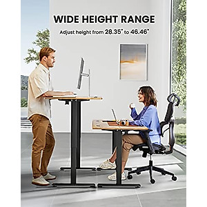 ErGear Height Adjustable Electric Standing Desk Dual Monitor Desk Mount