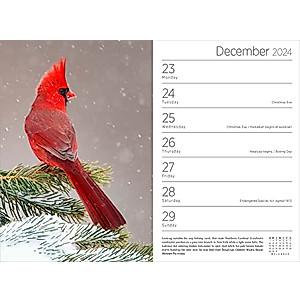 Audubon Engagement Calendar 2024: A Tribute to the Wilderness and Its Spectacular Landscapes