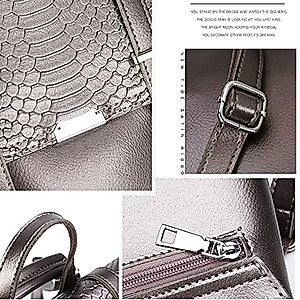 Travel Backpack Fashion Handbags Classic Female Shoulder Bag Casual Rucksack Crossbody Bags for Women (Blue)