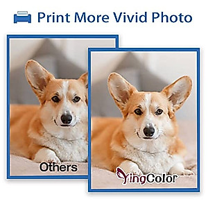 Compatible LC3013 Ink Cartridge BK/C/M/Y Replacement for Brother LC3013 LC3011 for Brother MFC-J895DW MFC-J497DW MFC-J491DW MFC-J690DW Printer (1 Black, 1 Cyan, 1 Magenta, 1 Yellow)-Yingcolor