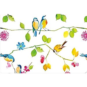 Watercolor Birds Note Cards (Stationery)