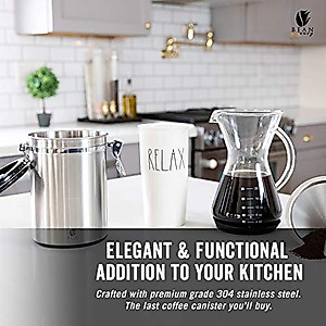 Bean Envy Coffee Canister - 22.5 oz Coffee Storage Container and Organizer w/Stainless Steel Scoop, Date Tracker & Co2-Release Valve - Essential Coffee Accessories, Steel