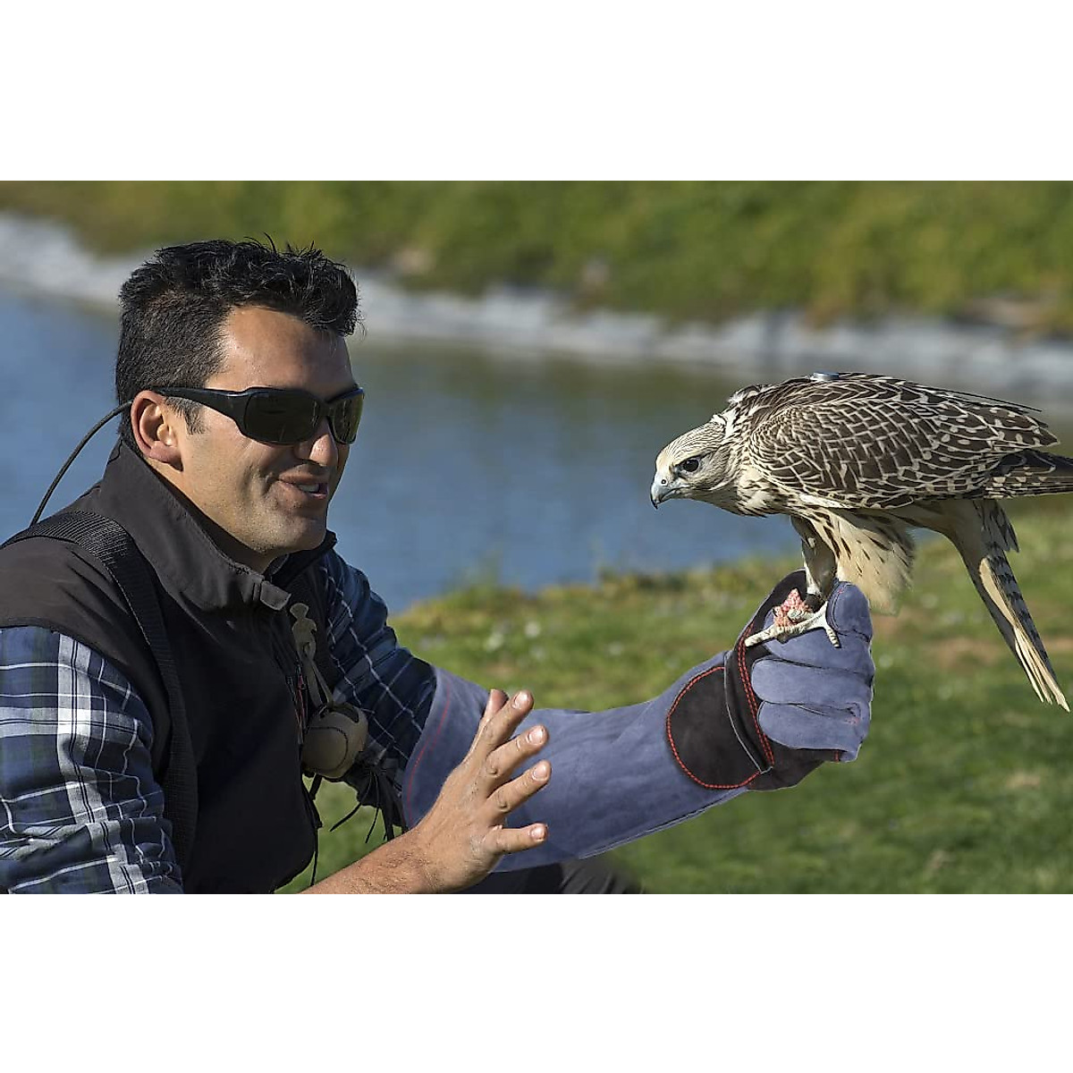 RAPICCA Animal Handling Gloves Bite Proof Double Leather Reinforced Padding Dog,Cat Scratch,Bird Handling Falcon Gloves Grabbing Reptile Squirrel Snake Bite 16in Grey-Black