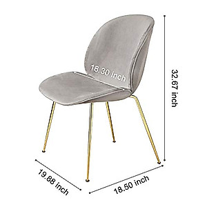 GIA Contemporary Dining Chair with Velvet Upholstery, Qty of 2, Light Gray