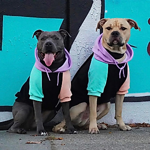 Spark Paws Dog Hoodie - Premium Quality, Buttery Soft, Superior Comfort and Fit, Calming Fleece Interior, Suitable for All Breeds - Cyber Punk - L