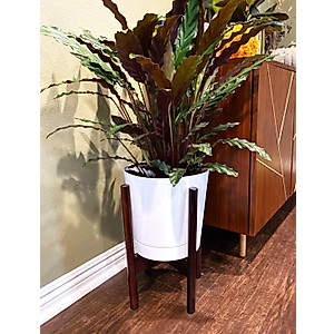 RAINBLELAND Plant Stand, Excluding Planter Stand Pot, Mid Century modern Plant Stands for Indoor Plants, Indoor Plant Stand fits 8 9 10 11 12 Inches Plant Pots, Plant Holder Stand, Bamboo Stand