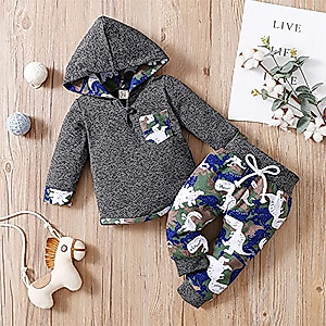 Viworld Toddler Baby Boy Clothes Infant Long Sleeve Hoodie Tops Dinosaur Print Pants Fall Winter 2pcs Outfit Set (Grey, 3-4T)
