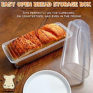 Home-X Transparent Plastic Bread Box