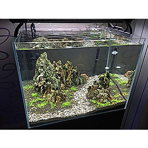 ZYYRT Natural Stone Aquarium Decoration 4.4 lb Dragon Stone Rock Mixed Sizes for Micro Landscape Fish Tank Decor