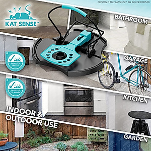 Kat Sense Large Rat Traps That Work, Instant Humane Kill Snap Trap for House, New Wide Strike Bar Captures 3x More Rodents Chipmunks Mice & Squirrels, Set of 4 Indoor Outdoor Mouse Traps Trampas Ratas