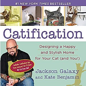 Catification: Designing a Happy and Stylish Home for Your Cat (and You!)