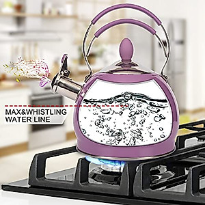 Whistling Tea Kettle Stainless Steel Teapot, Teakettle for Stovetop Induction Stove Top, Fast Boiling Heat Water Tea Pot 2.6 Quart