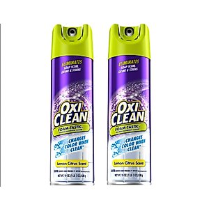 OxiClean Foam-Tastic Bathroom Cleaner 19oz. (2-Pack)