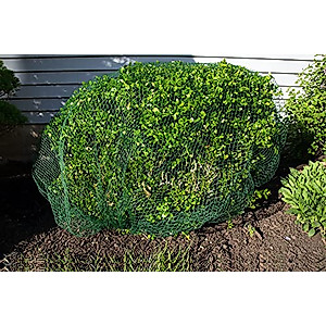 Deer-Terrent Plant Netting Cover- Size 6' X 6' for Shrubs Up to 2.5-3' Tall (6ft x 6ft). Repels Deer from Your Plants. Deer Protection for Plants