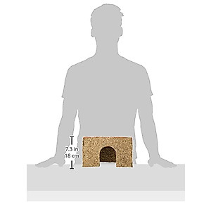 Rosewood Naturals Carrot Cottage Hamster House, Medium