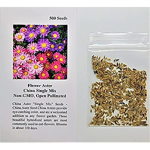 David's Garden Seeds Flower Aster China Single Mix 9931 (Mulit) 200 Non-GMO, Heirloom Seeds