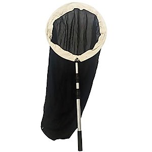 EDUCATIONAL SCIENCE WE ENABLE DISCOVERY Professional Lepidoptera Butterfly Net (15-inch), extends to 42-inches BN4000