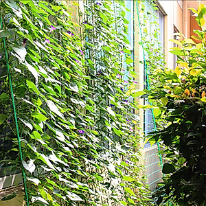 Plant Trellis Netting for Climbing Plants Outdoor Heavy Duty Plastic Garden Trellis Netting 27 Strands Plant Climbing Net Strong Support for Clematis, Cucumber,Tomatoes and Vine Plants （5.9x5.9FT）