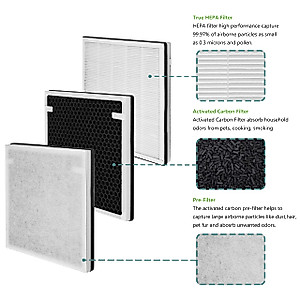 VA-EE004 True HEPA Replacement Filter, Compatible with VAVA VA-EE004 Air Purifier, 2 Pack