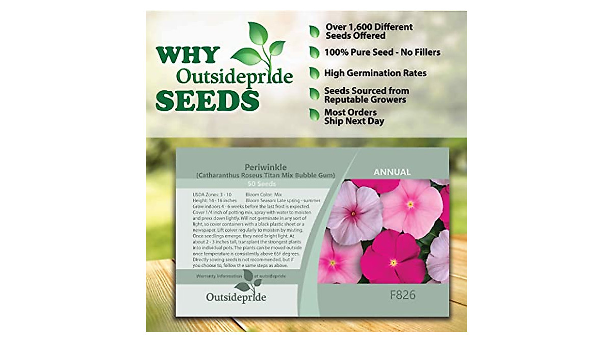 Titan Bubble Gum Vinca Seeds - Fast-Growing Flower Mix