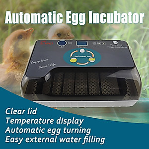 SSZYace 12-35 Egg Incubator, Incubators for Hatching Eggs with Automatic Turner, Egg Candler and Temperature Display, for Chicks, Quails, Ducks, Small Poultry