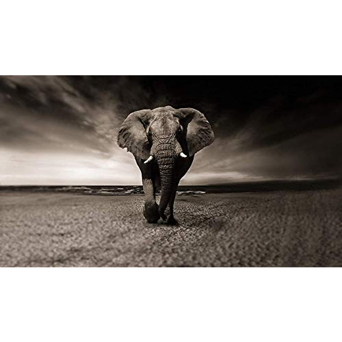 Wooden Jigsaw Puzzles 1000 Piece for Adults,Elephant Puzzles Wild Animals Natural Scenery,Every Piece is Unique,Softclick Technology,Best Game for Family