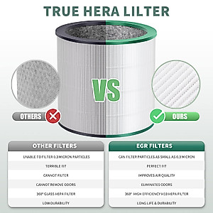 EGR Air Purifier & Fan Filter Replacements Compatible with Dyson Pure Cool Link TP01, TP02, TP03, AM11, BP01 Models, 2 Pack