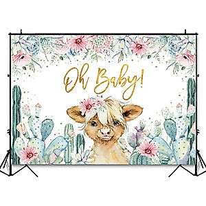 Avezano Oh Baby Sign Backdrop Mexican Fiesta Cactus Theme Baby Shower Party Decorations Holy Cow Baby Shower Decorations Oh Baby Photoshoot Background Banner (7x5ft)