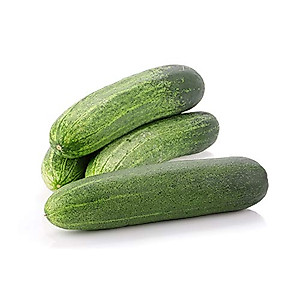 Carolina Cucumber Seeds for Planting, 100+ Heirloom Seeds Per Packet, (Isla's Garden Seeds), Non GMO Seeds, Botanical Name: Cucumis sativus, Great Home Garden Gift