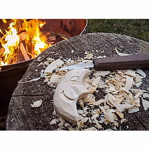 CanUsa Brand Basswood Carving Wood Blocks from Wisconsin USA. Whittling Wood Carving Wood Blocks for Carving. Contains Two Large Basswood Carving Blocks and Eight Small.