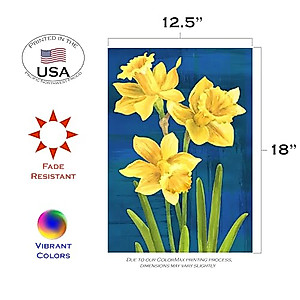 Toland Home Garden 1112545 Daffodils On Blue Spring Flag 12x18 Inch Double Sided Spring Garden Flag for Outdoor House Flower Flag Yard Decoration