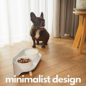 A4DOG Ceramic Dog Bowls with Stand - Elevated Dog Water and Food Bowl Set 13.5oz Cat & Dog Feeding Station Spill Proof Splash Proof Raised Pet Food Bowls for Dogs, No Mess Pet Feeder - Gray