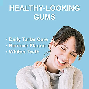 [PERIOE] Fluoride-Free Gel Type Toothpaste - Innovative Pump Design for Smart Brushing and Improved Tartar Care, Spearmint (285 g / 10 oz) Cool Mint Scent x2