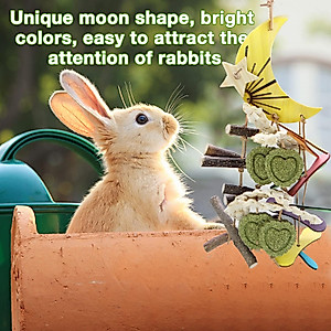 MQFORU Rabbit Hanging Toys, Chinchilla Chew Toys, Guinea Pig Toys, Small Animal Toys, Bunny Treats Toys Cage Accessories for Teeth, Hamsters Rats Toys for Snacks, Food Grade Materials Dyes