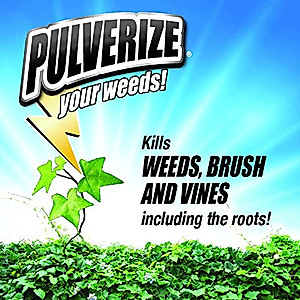 Messina Wildlife Pulverize PWBV-U-032 Weed, Brush & Vine Killer Spray - Fast Acting, Non-Staining Weed and Crabgrass Killer - 32 Ounce Trigger Spray Bottle