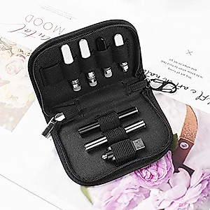 Wenod Daily Carrying Bag with Buckle, Deluxe Five One Zero Carrying Case and Charger Set Without Device,Champagne Gold.