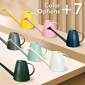 Watering Can for Indoor Outdoor Plants, Modern Small Watering Cans with Removable Nozzle, Long Spout Watering Can for Indoor Bonsai Plants Garden Flowers 1/2 Gallon 1.8L 60OZ