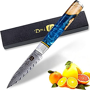 Dnifo Classic Paring Knife 3.5 Inch, Damascus Steel Japanese Knife - Sharp fruit knife for Peeling, Cutting, and Slicing - Non-stick Blade and Anti-rusting Forged Cutlery Knife