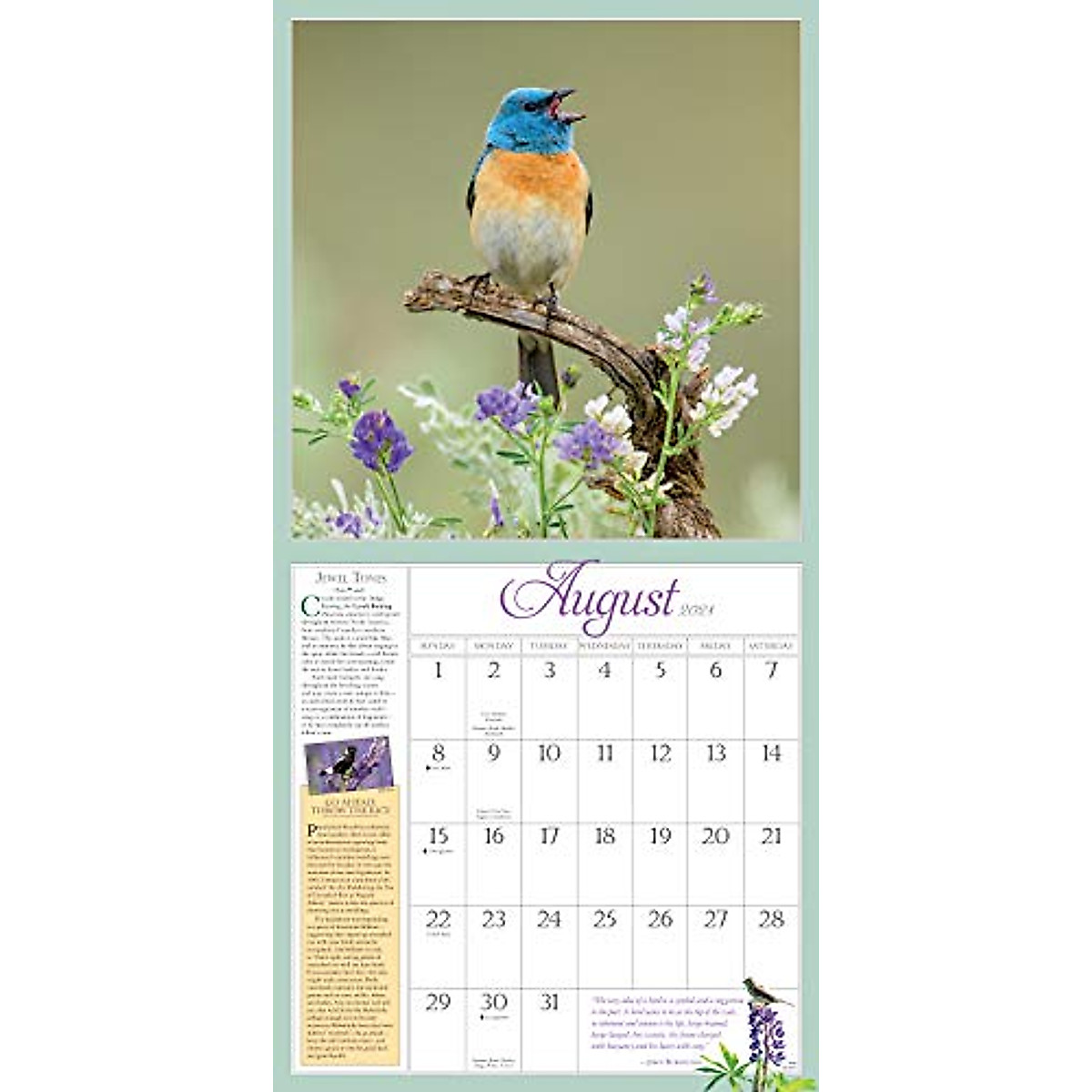 Audubon Birds in the Garden Wall Calendar 2021