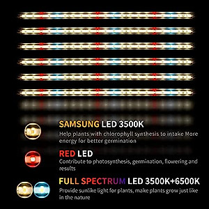 Plant Grow Light 6 Packs T5＆Full Spectrum 3500K 6500K＆Red LED with Auto Cycle Timer 3/6/12Hours Dual Channel 4 Brightness Level Growing Lamp for Indoor Plants from Seeding to Harvest