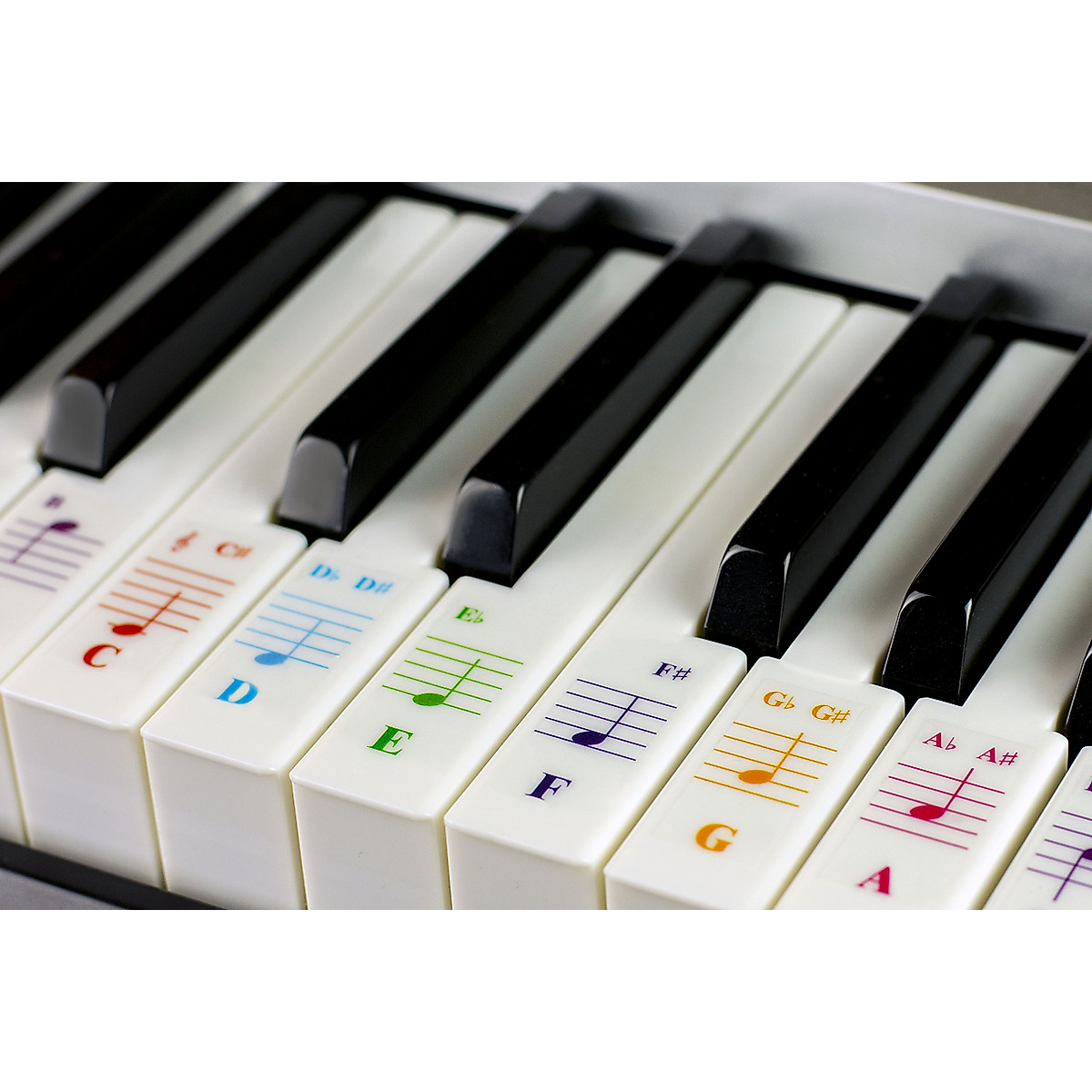 QMG Piano Keyboard Stickers for 88/76/61/54/49/37 Key Large Letter Piano Stickers for Learning, Removable Piano Keyboard Letters, Notes Label for Beginners and Kids, Made in USA
