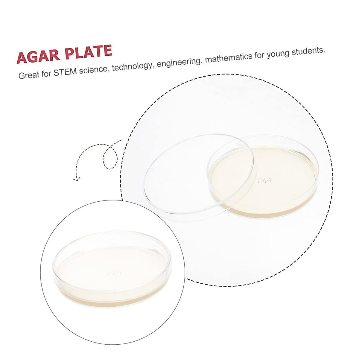 30 Pcs Nutrient Agar Plate Agar Petri Dishes for Mushrooms Tissue Culture Agar Plates Agar Plates for Experiment Dish Lab Dishes Kid Stuff Finished Product Child Specimen