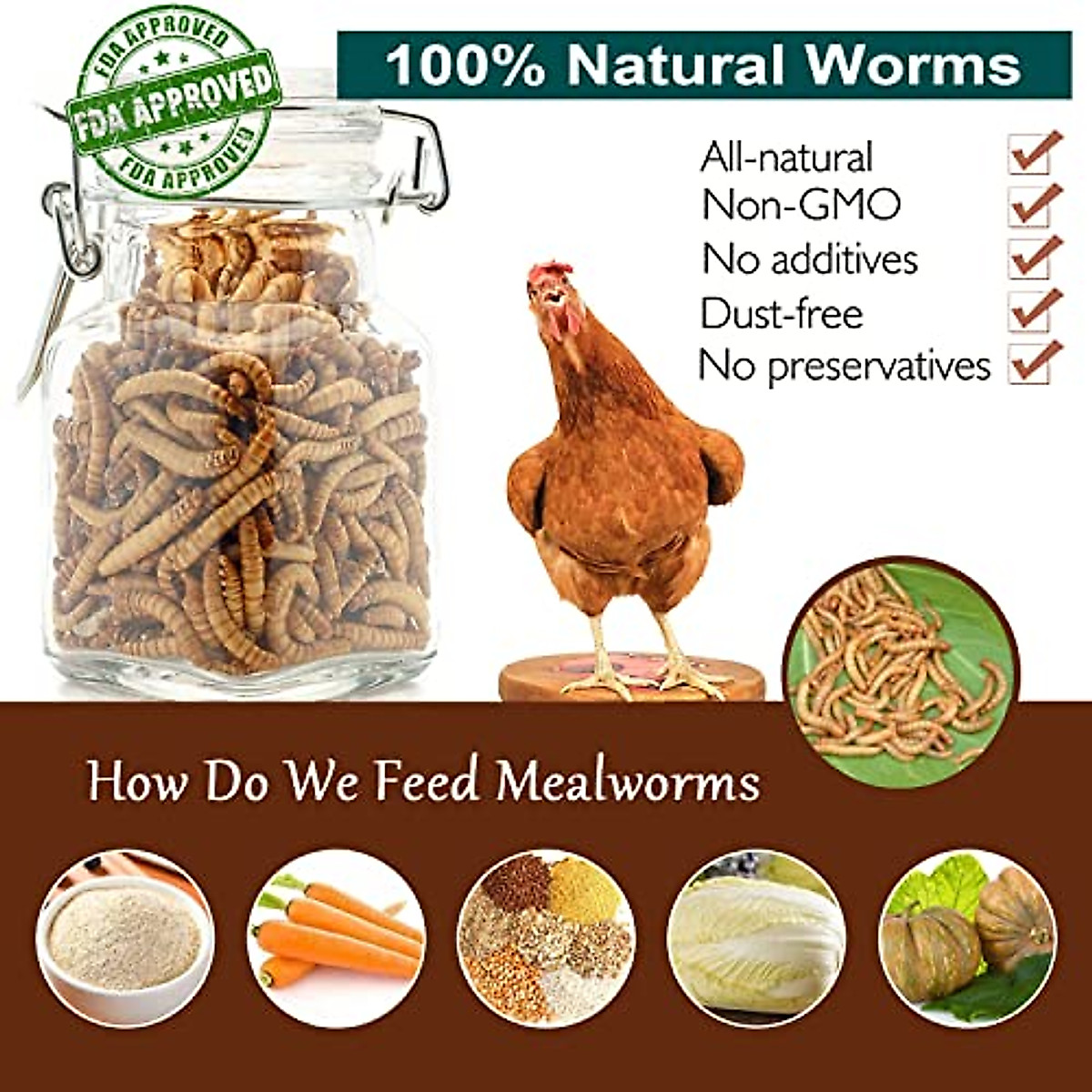 Euchirus Non-GMO High-Protein Large Dried Mealworms for Chickens, Natural Grubs and Poultry Treats as Chicken Feed,Duck Food, Wild Birds Seed,Fish Food,Reptile Food,Amphibian Food(Mealworms-5LB)