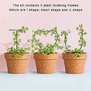 3 Pcs Plants Climbing Holder Rack I Love U Shape Metal Iron Climbing Plant Frame for Vines Ivy Roses