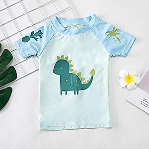 Baby Toddler Boys Two Pieces Swimsuit Set Boys Dinosaur Bathing Suit Rash Guards with Hat UPF 50+ FBA (Green Dinosaur, 2-3 Years)