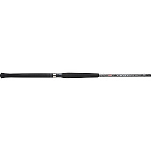 Berkley 10’ C-Series Crappie Pro Spinning Rod, One Piece Spinning Rod, 4-12lb Line Rating, Light Rod Power, Moderate Fast Action, Dependable and Lightweight,Gray