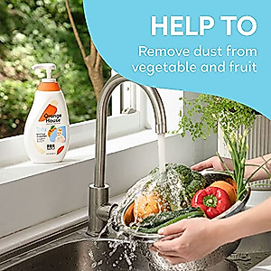 ORANGE HOUSE Baby Bottle Dish Soap Planted-Based Bottle Soap Cleaner, 21.9 Fl oz (3 Pack)